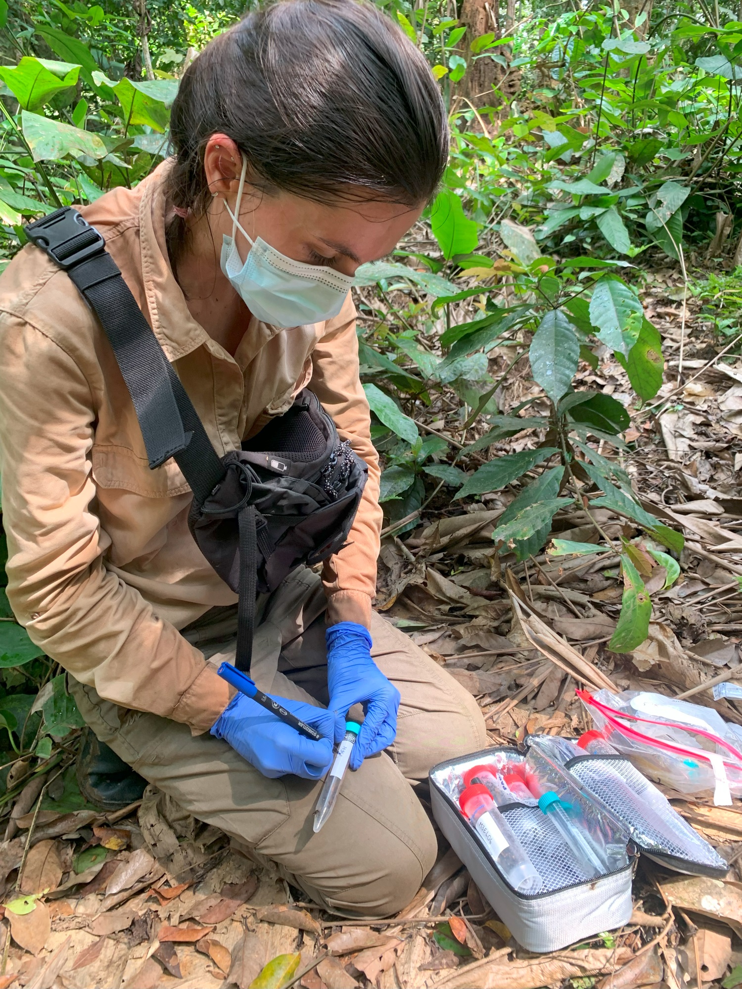 Rita Santos - paleo.group